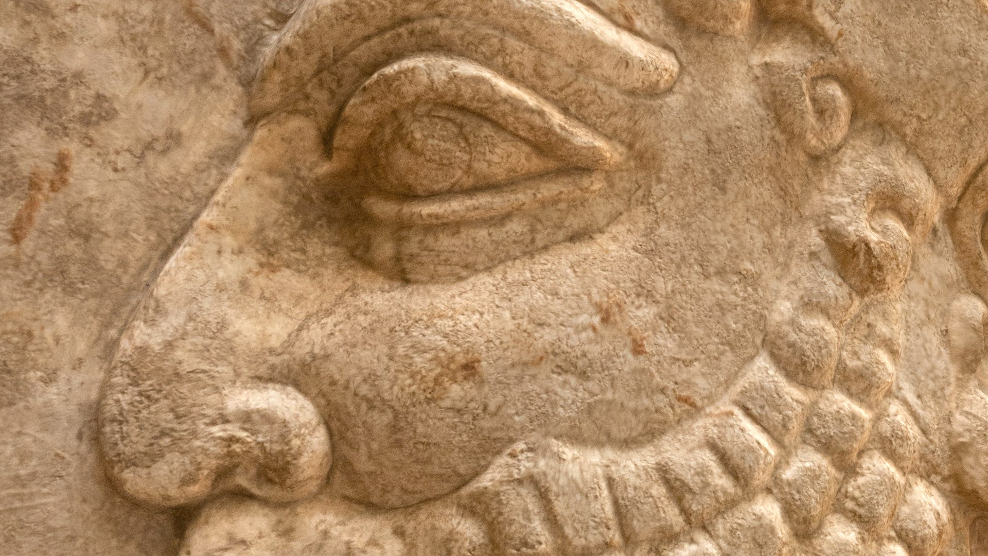 TRIBUTAIRE MEDE II Model - TurboSquid 1717443