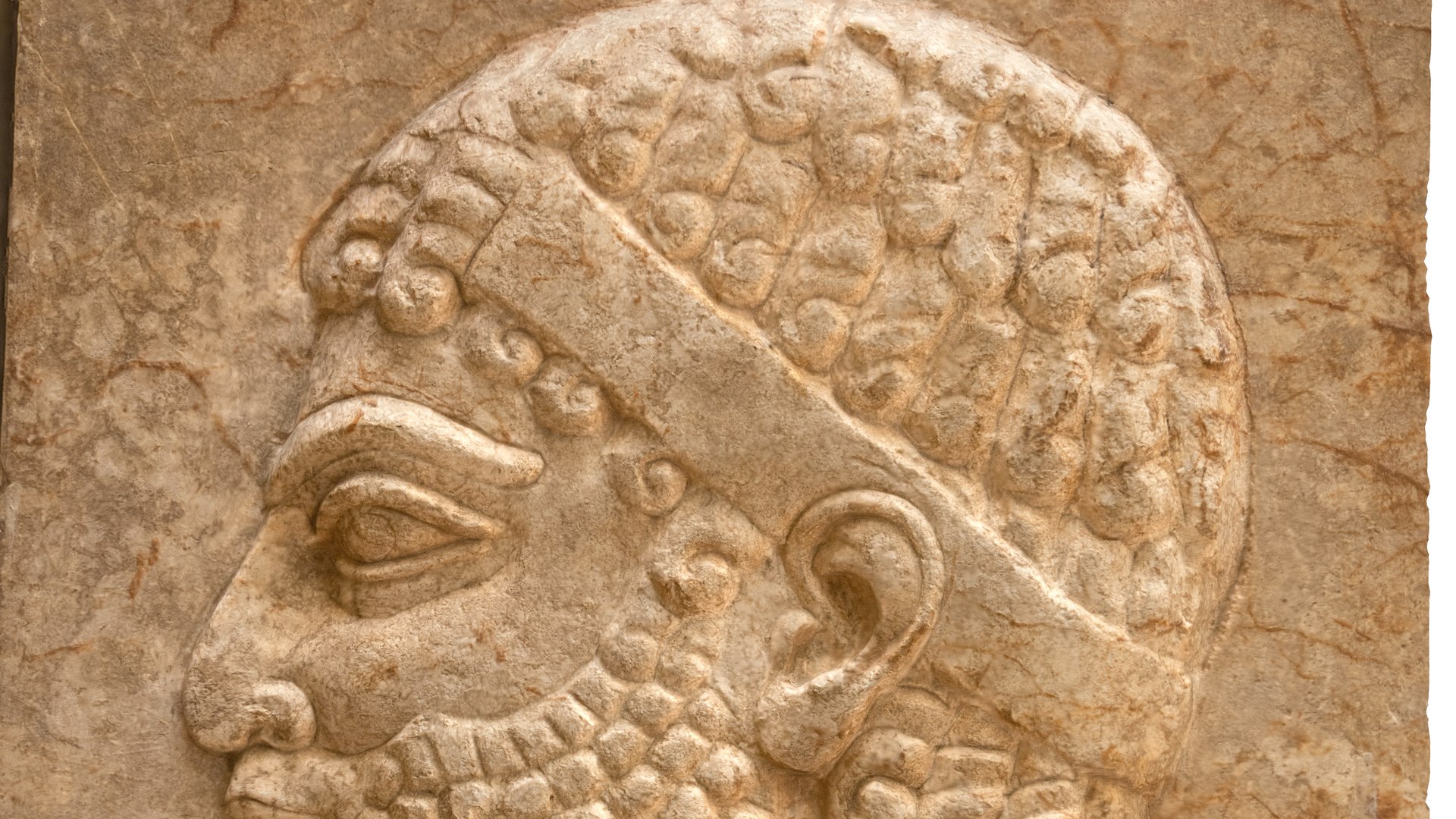 TRIBUTAIRE MEDE II Model - TurboSquid 1717443