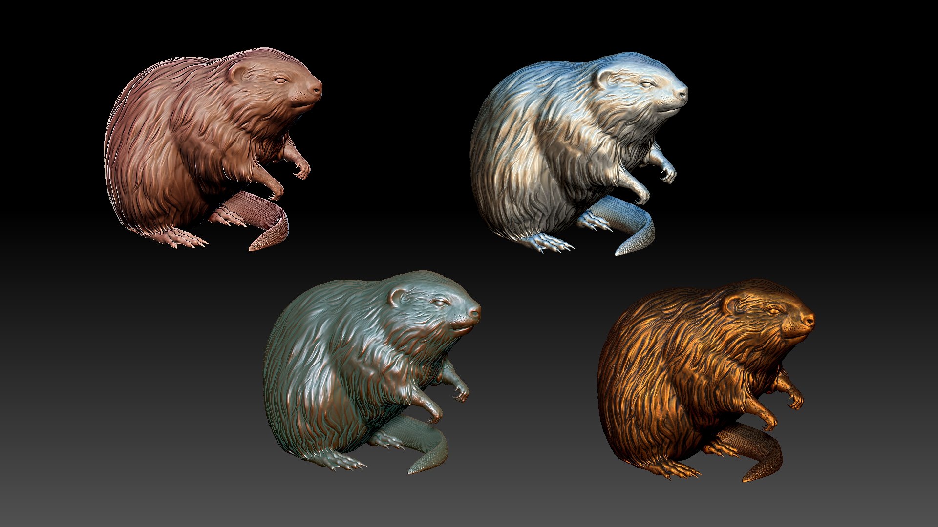 3D Muskrat - TurboSquid 1984224