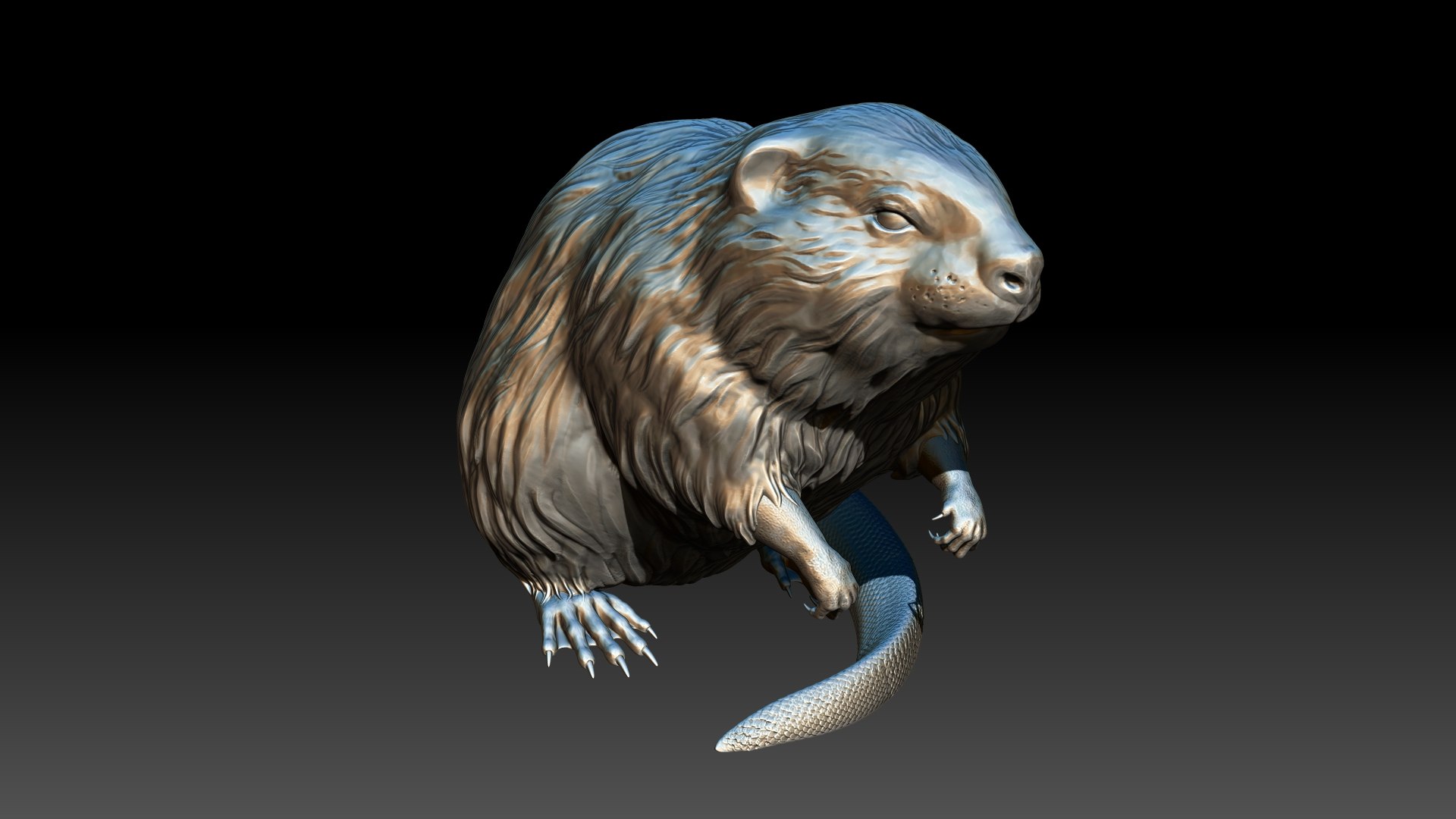 3D Muskrat - TurboSquid 1984224
