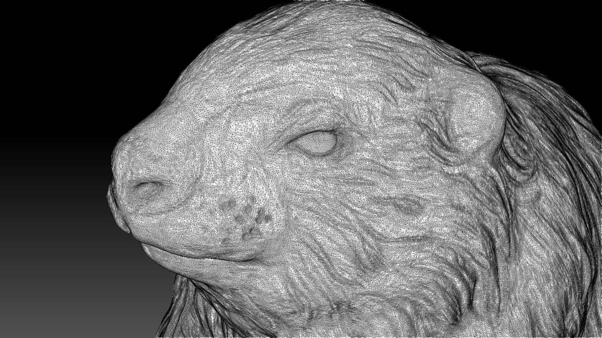 3D Muskrat - TurboSquid 1984224