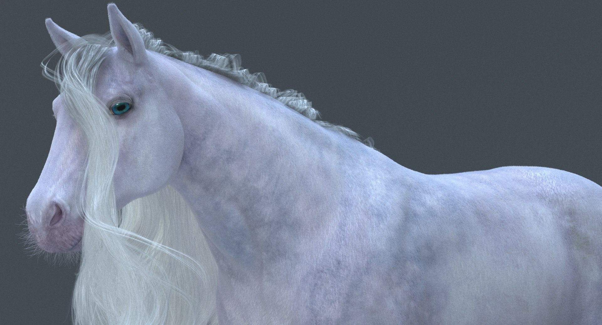 Pegasus Winged White Horse model - TurboSquid 1952331