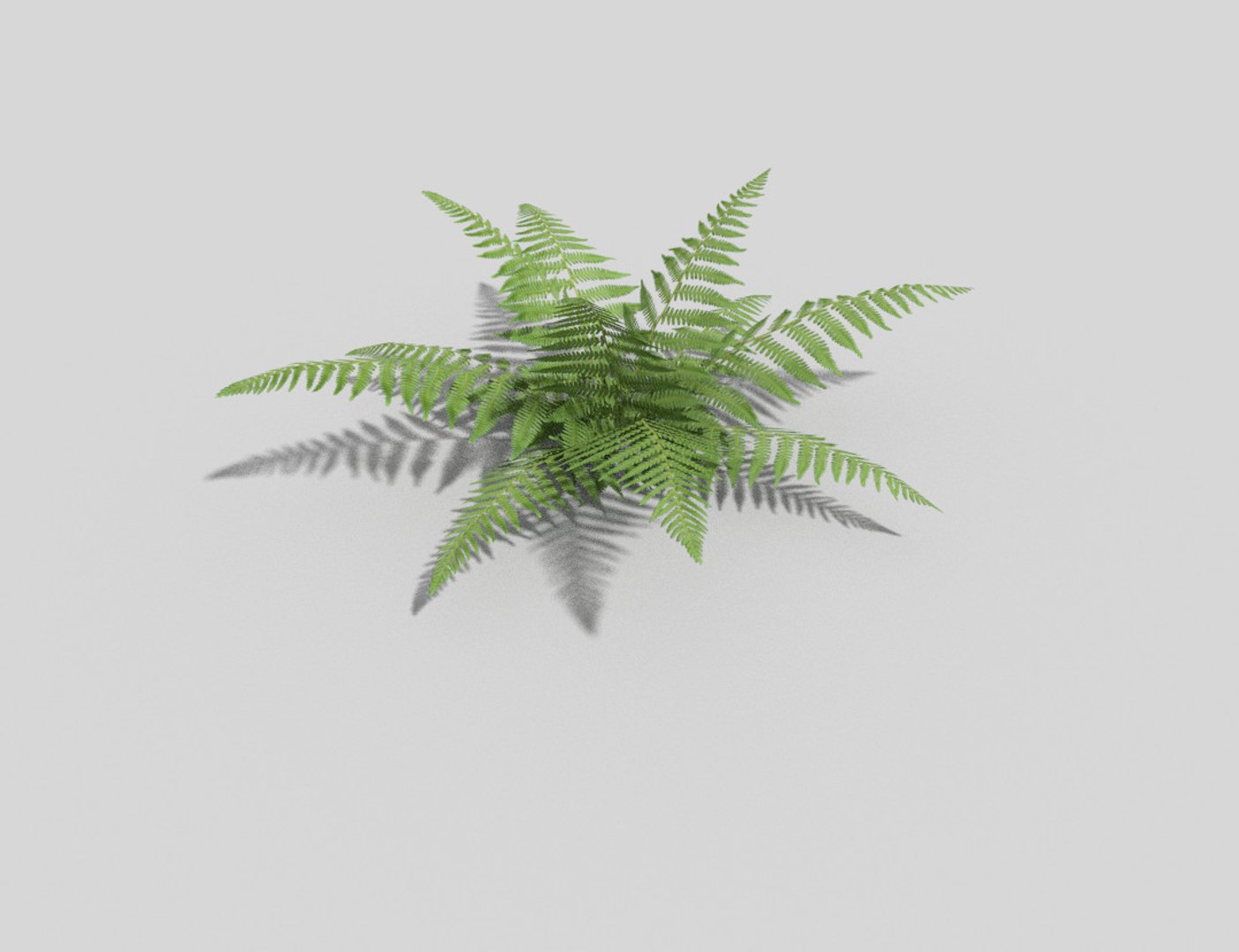 3d fern games