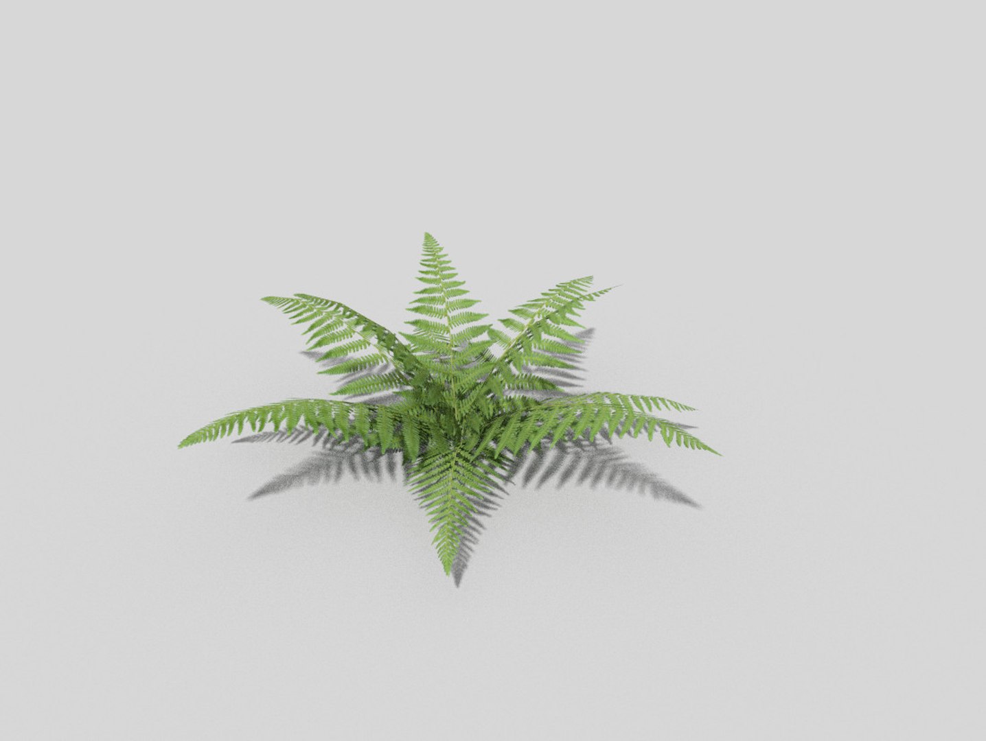 3d fern games