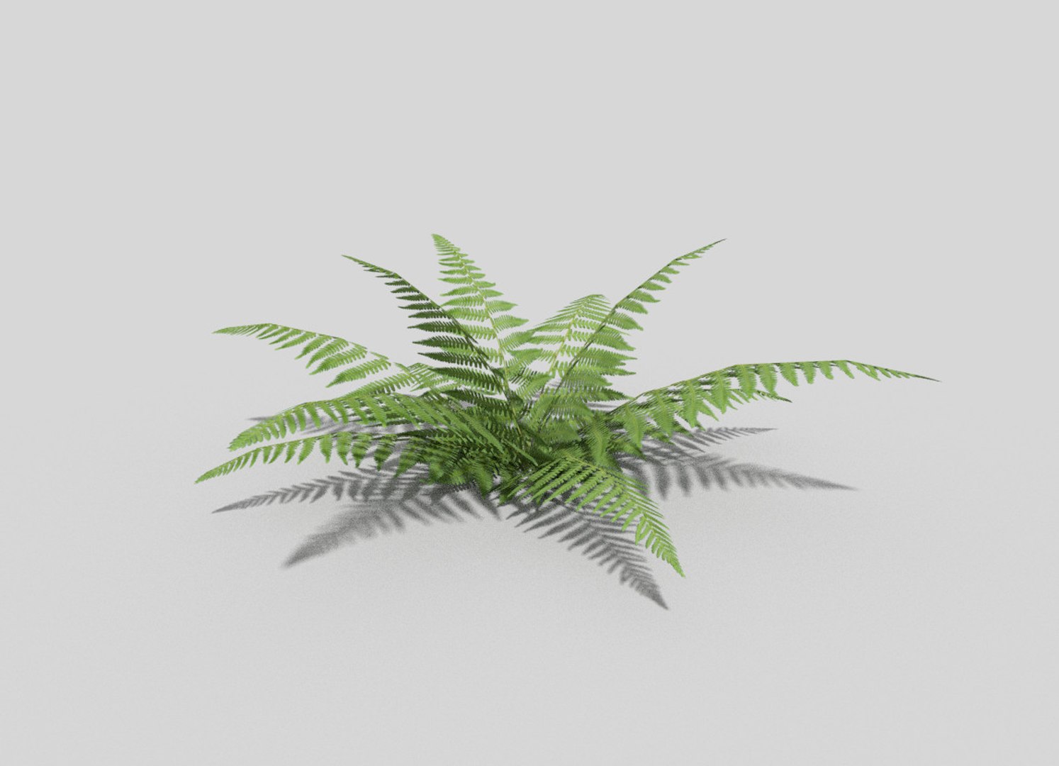 3d fern games