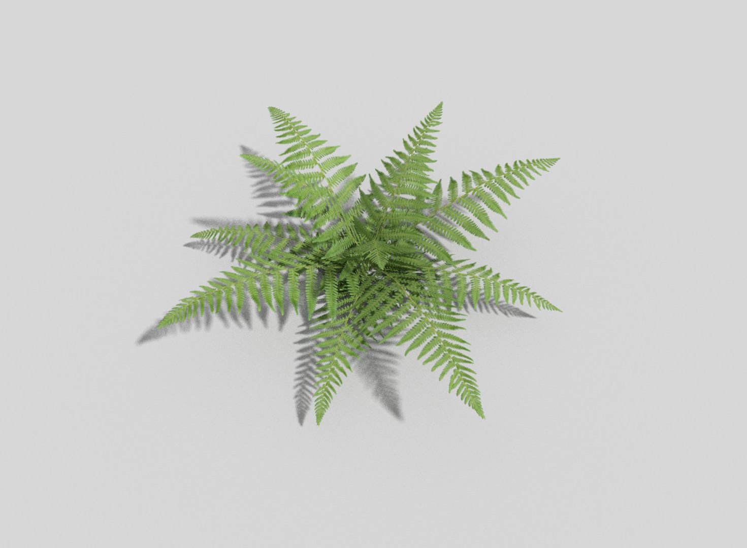 3d fern games