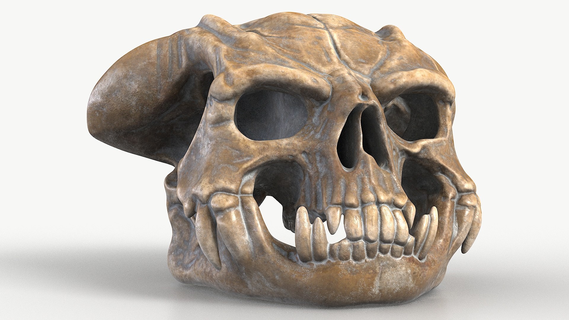 Orc Skull 1 3D - TurboSquid 2334445