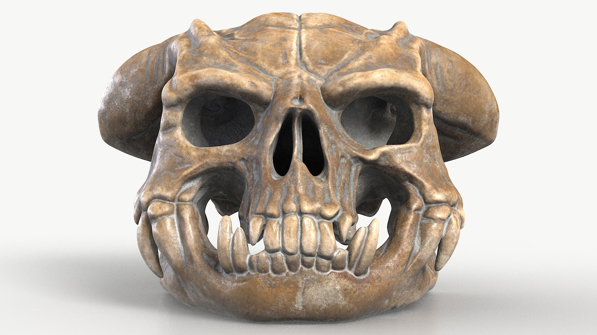 Orc Skull 1 3D - TurboSquid 2334445