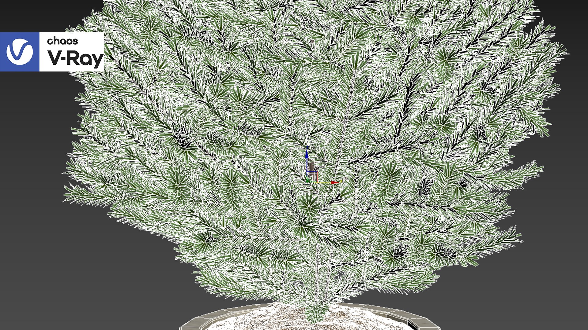 Christmas Tree For V-ray 3D Model - TurboSquid 2326072