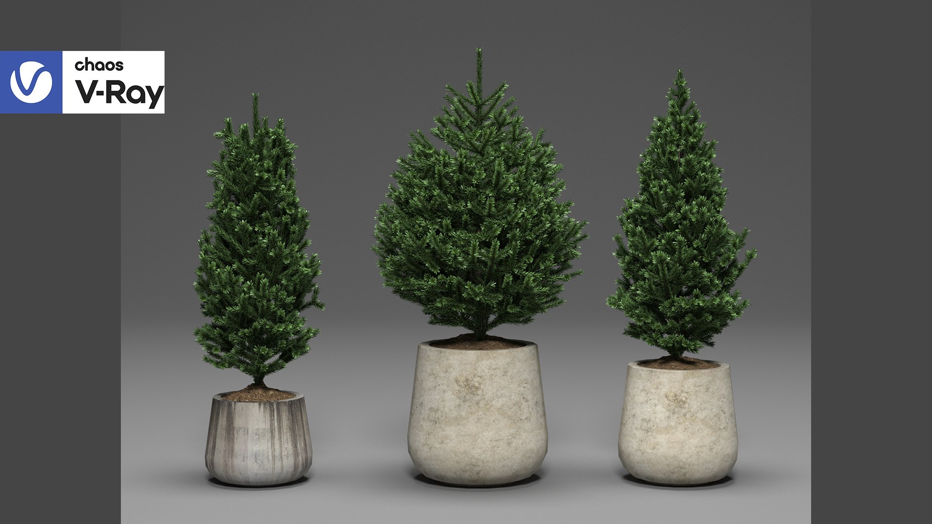 Christmas Tree For V-ray 3D Model - TurboSquid 2326072