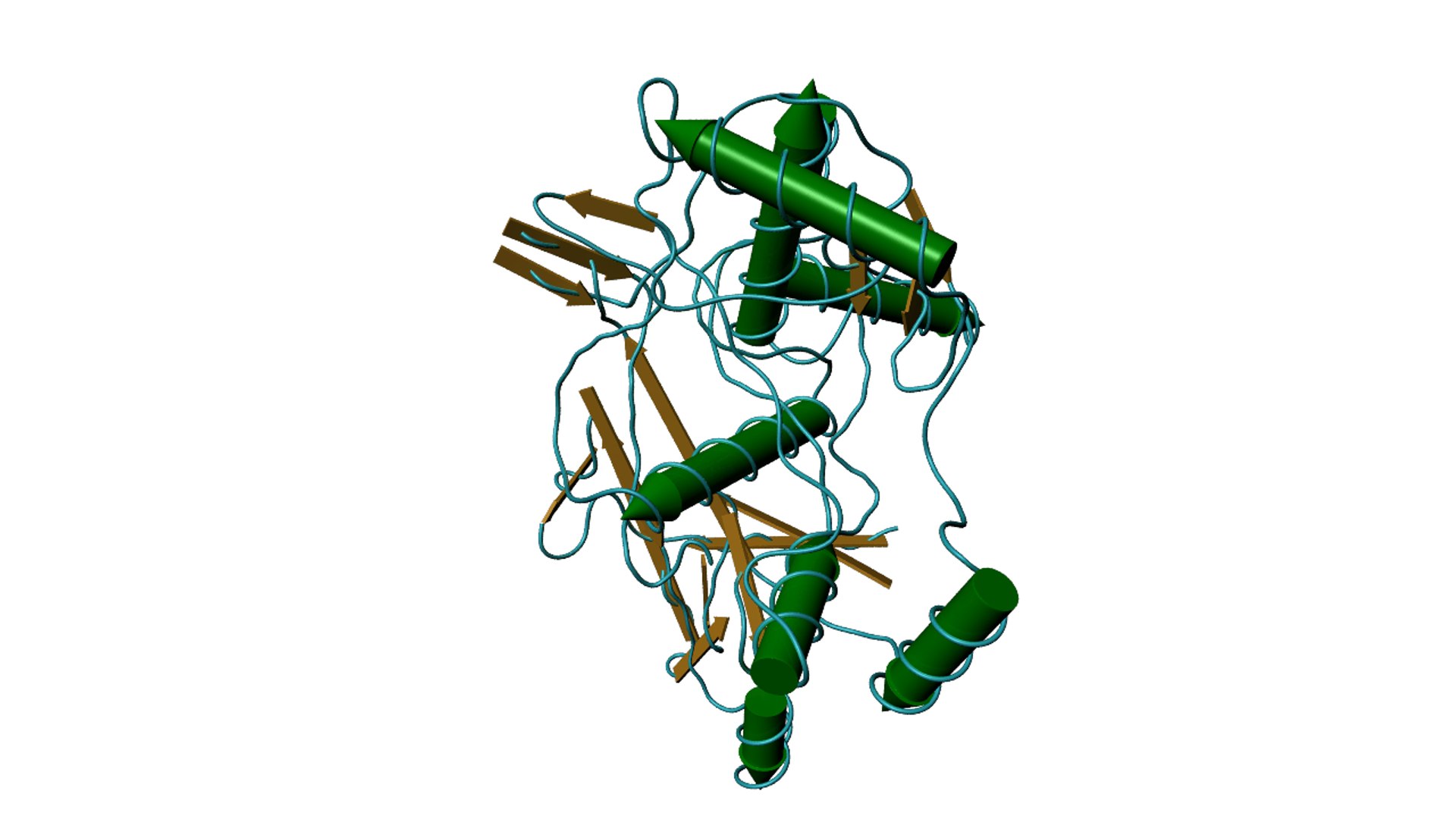 3d Model Hemocyanin