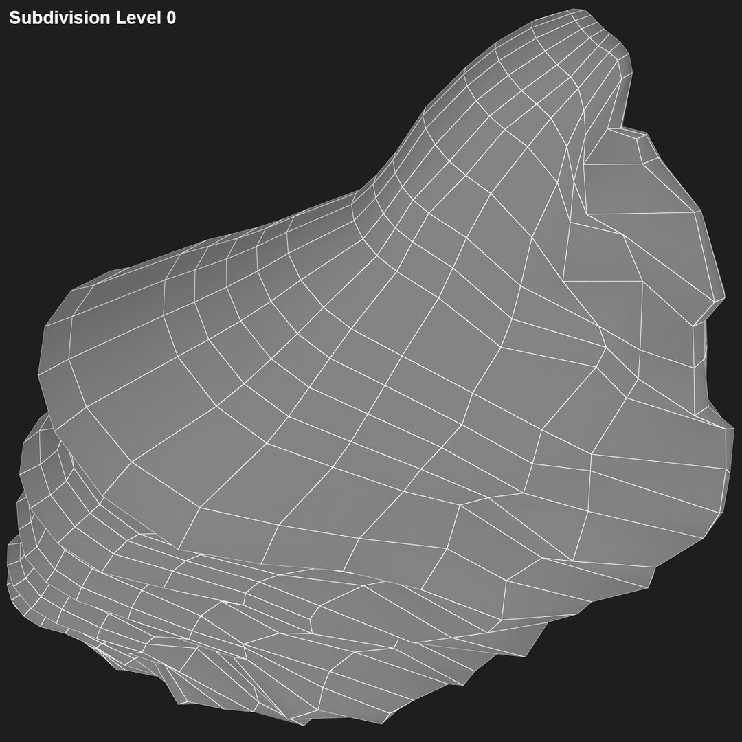 3D Sea Shell 1 Model | 1148889 | TurboSquid