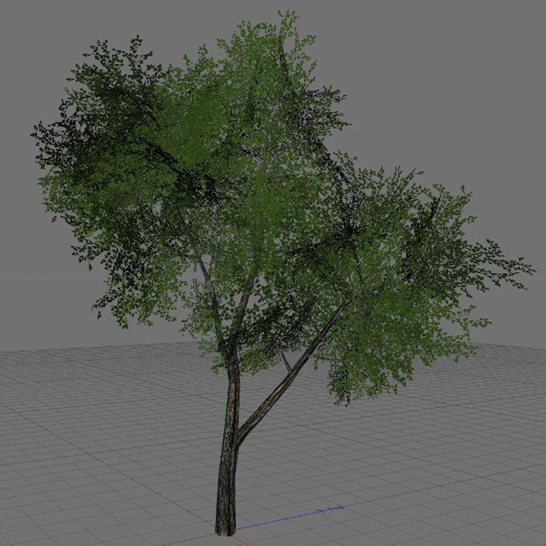 3ds Max Trees