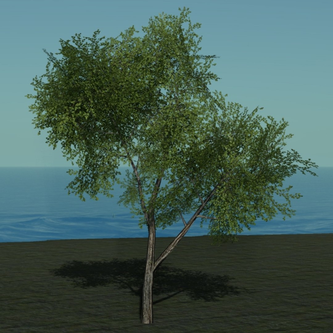 3ds Max Trees