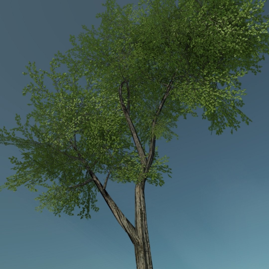 3ds Max Trees