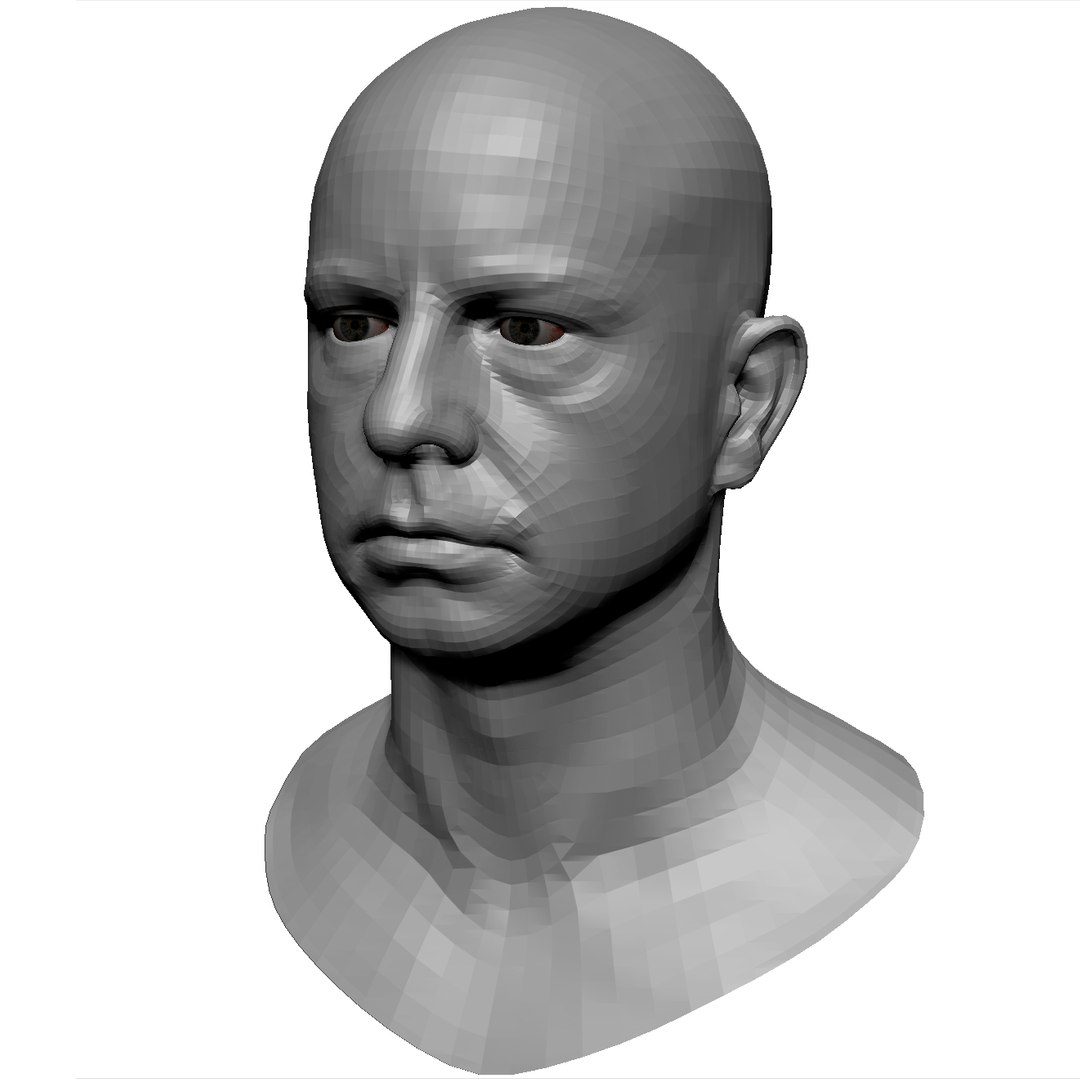 Scan Head 3d Model