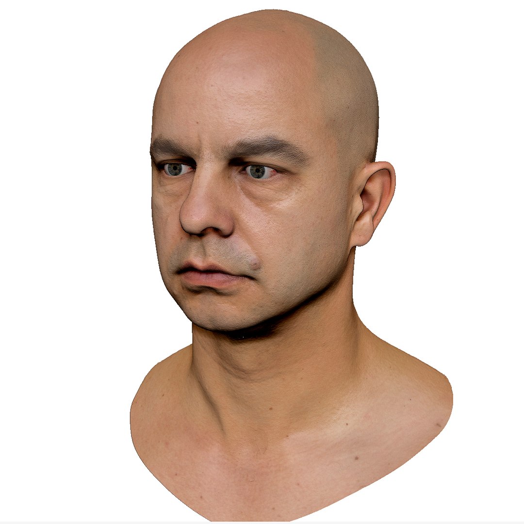 scan head 3d model