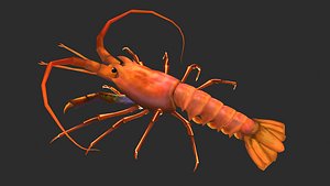 Lobster 3D Models for Download | TurboSquid