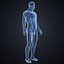 Body Veins 3D Model - TurboSquid 1216991