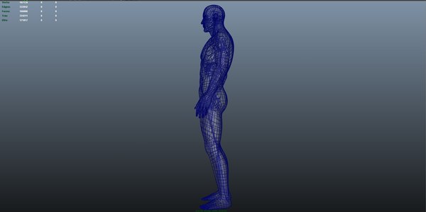 Body veins 3D model - TurboSquid 1216991