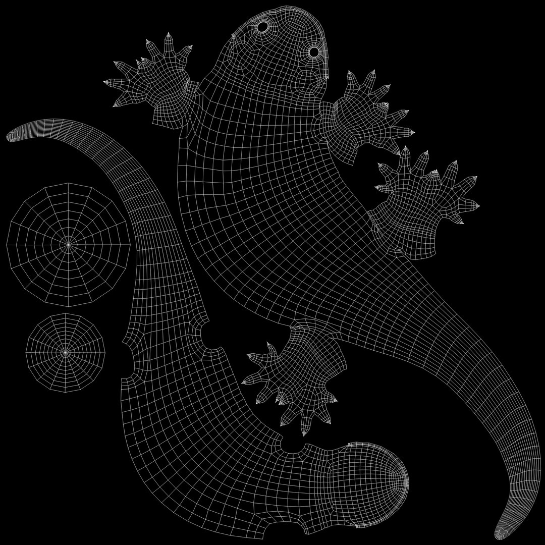 Salamandra Salamanders 3d Obj