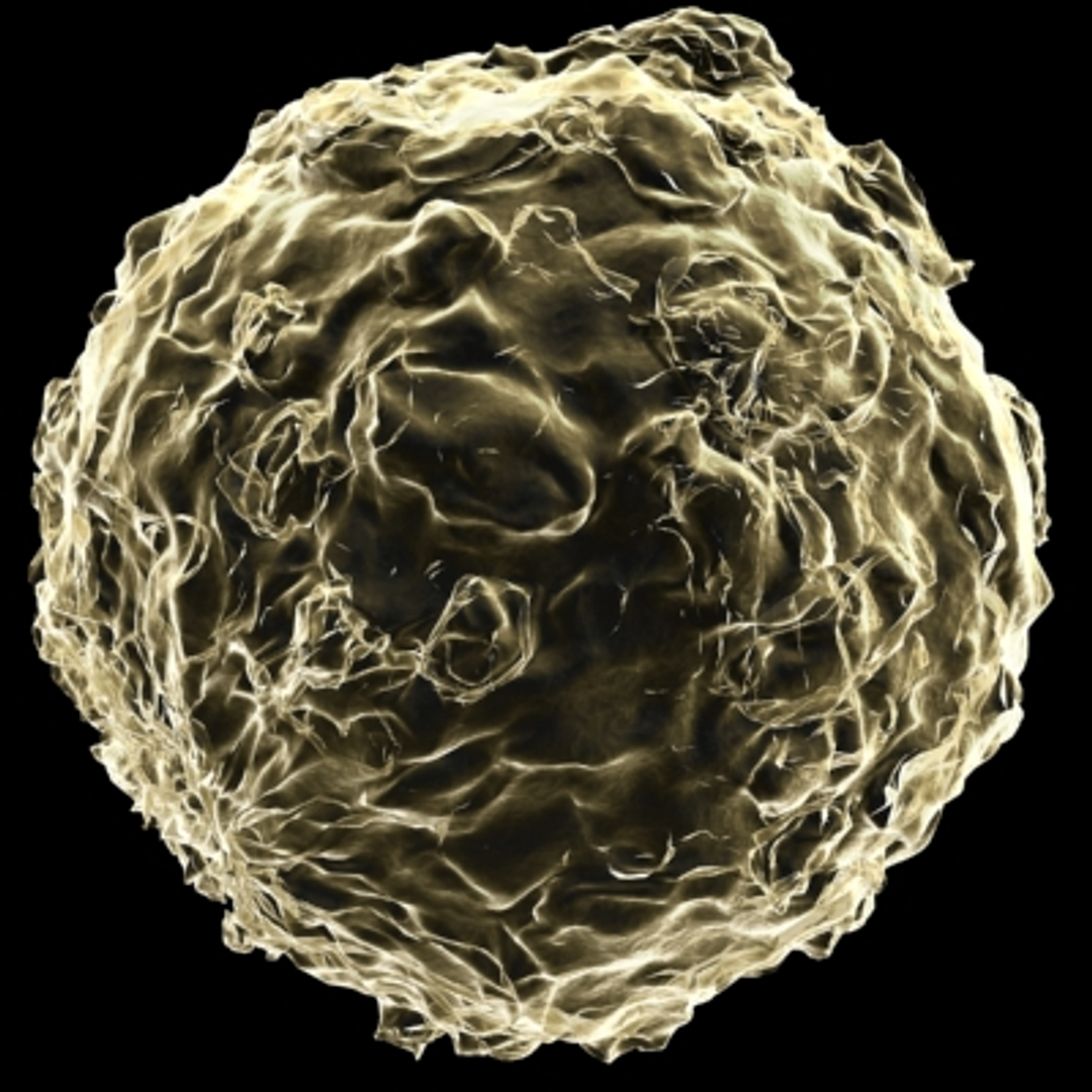 3d polio virus model