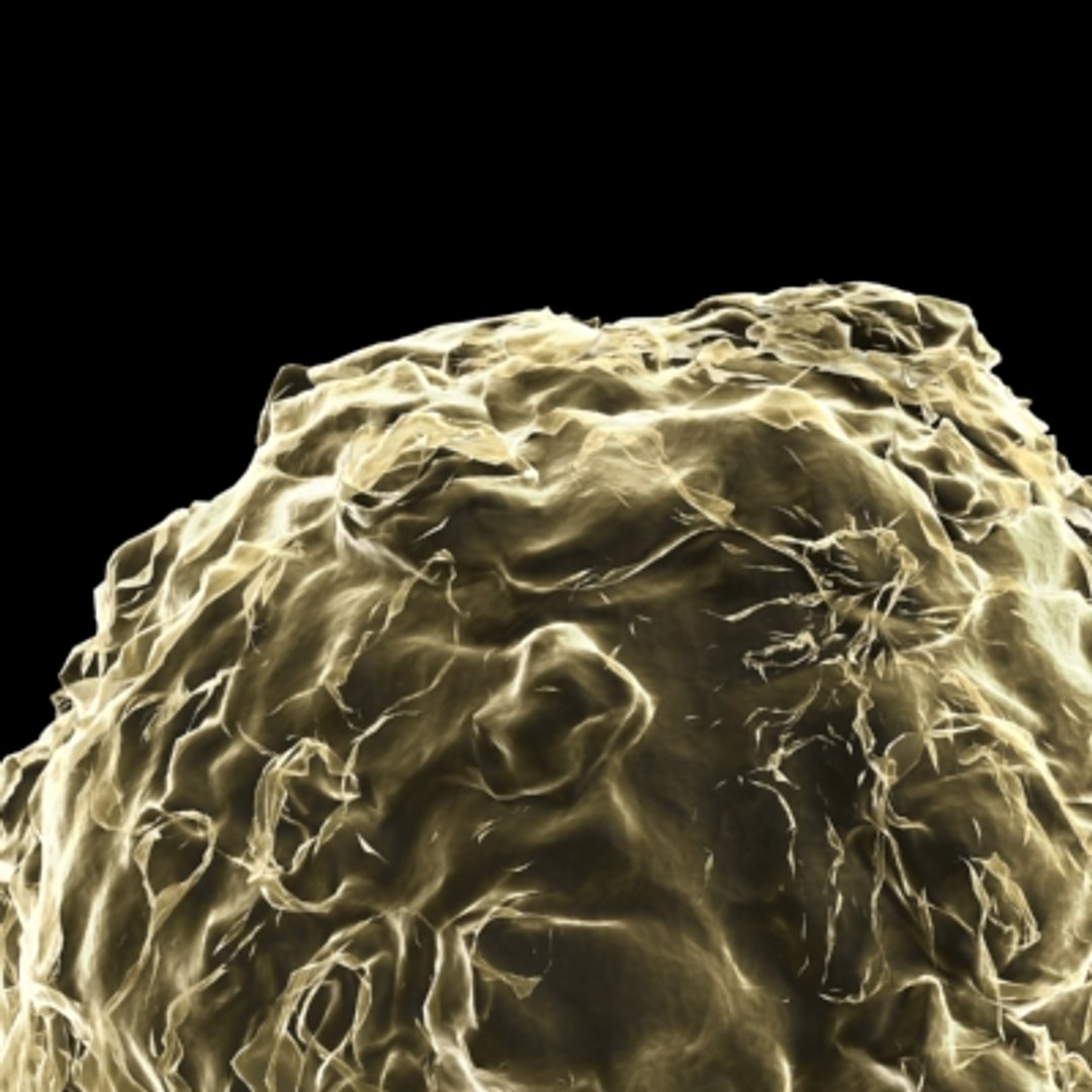 3d Polio Virus Model