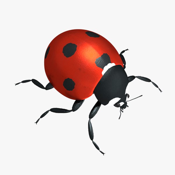 Ladybug 3D Models for Download | TurboSquid