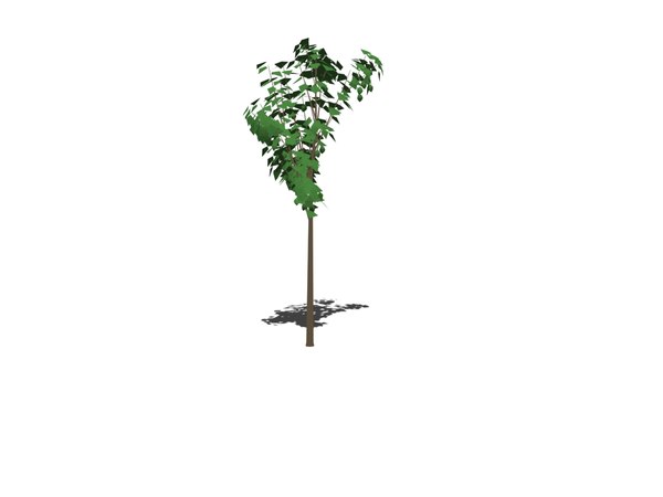 3d tree plant model