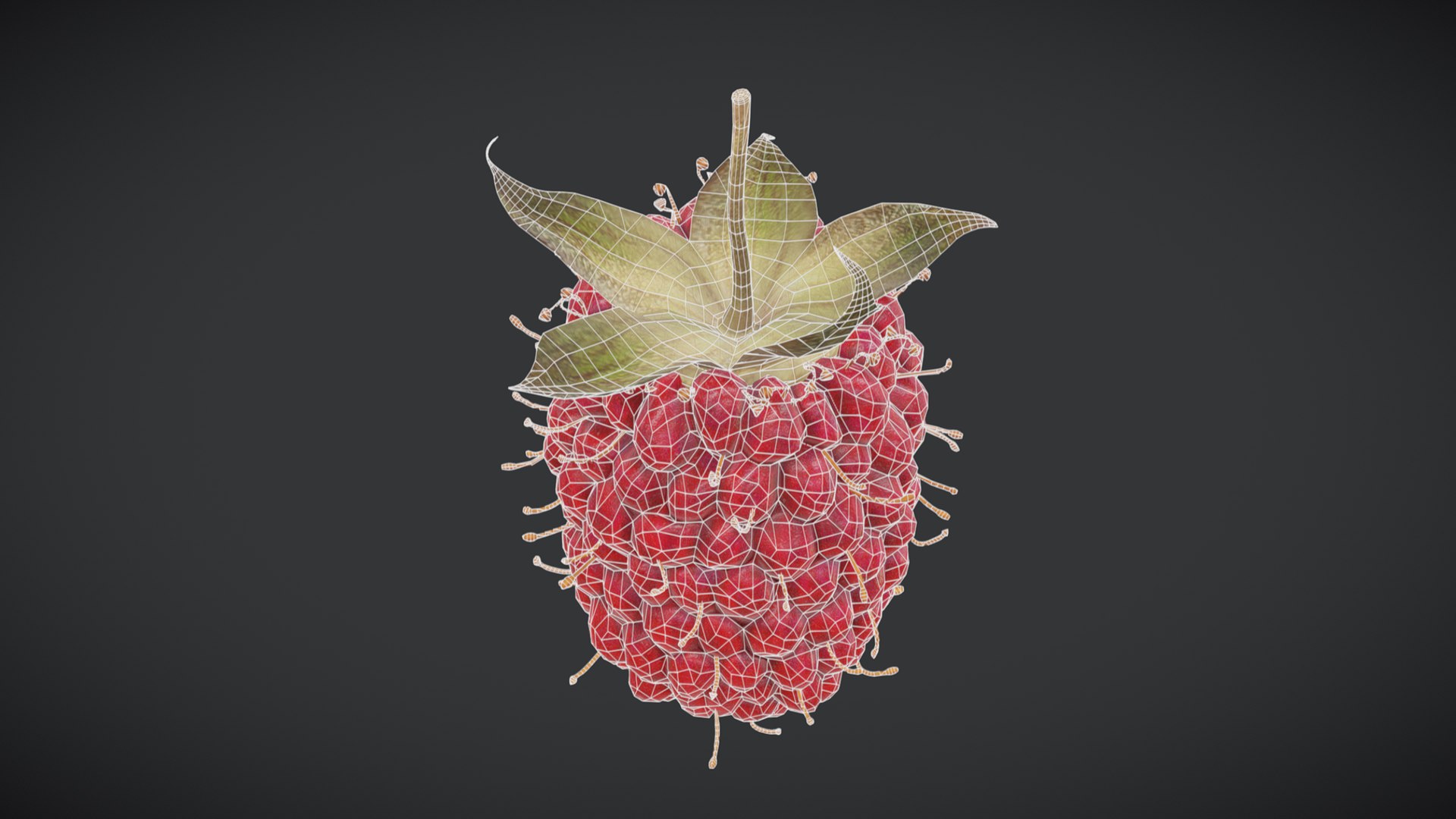 3D Fruit Loganberry Low Poly Model - TurboSquid 2371530