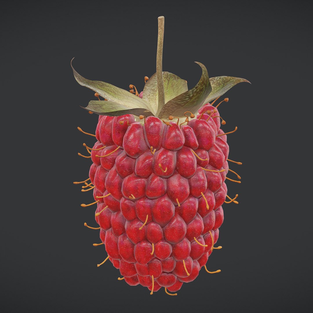 3D Fruit Loganberry Low Poly Model - TurboSquid 2371530
