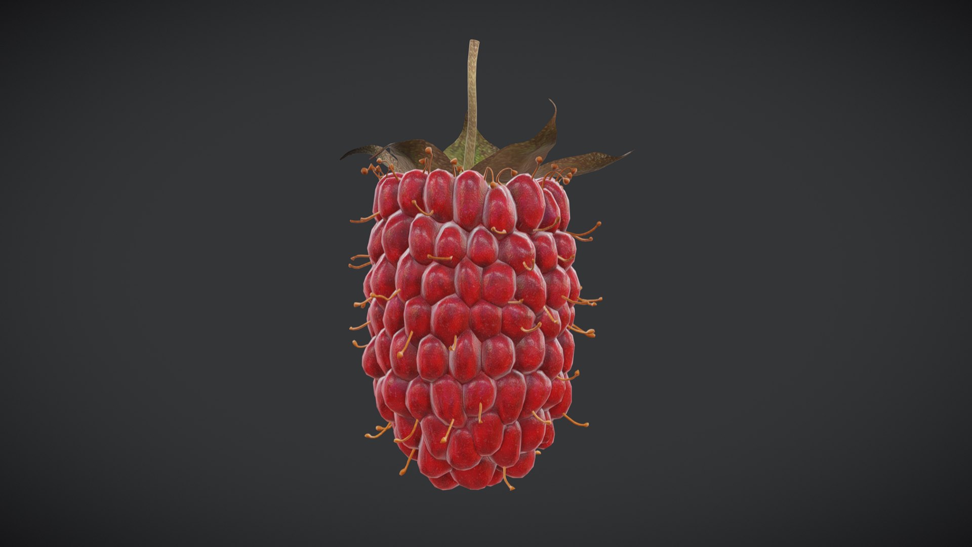3D Fruit Loganberry Low Poly Model - TurboSquid 2371530