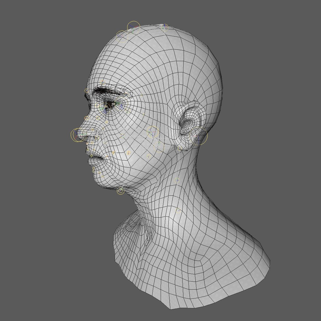 Realistic Head Base Mesh 3D Model - TurboSquid 1439701