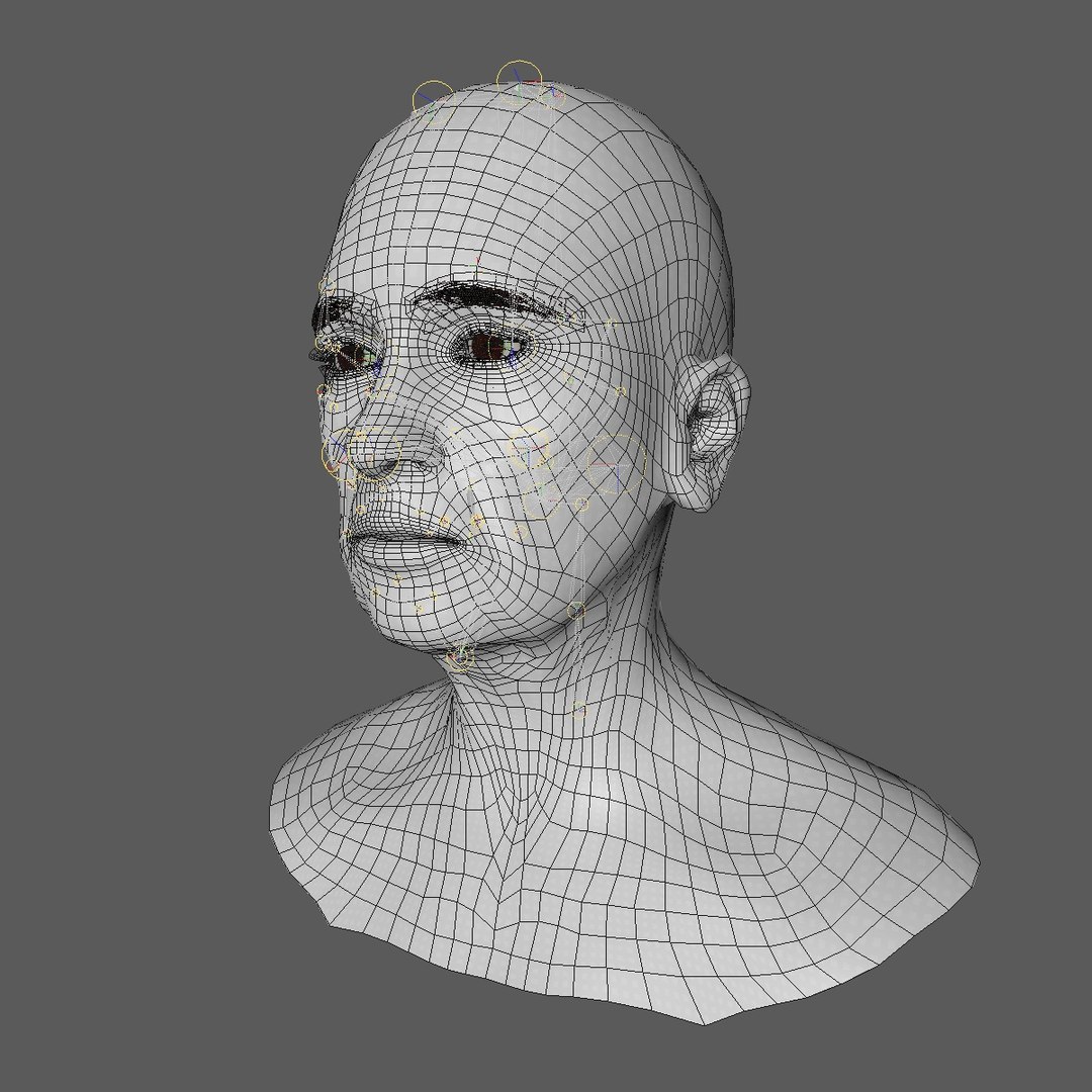 Realistic Head Base Mesh 3D Model - TurboSquid 1439701