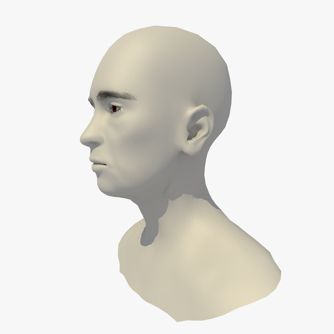 Realistic Head Base Mesh 3D Model - TurboSquid 1439701