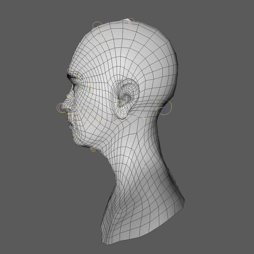 Realistic Head Base Mesh 3D Model - TurboSquid 1439701