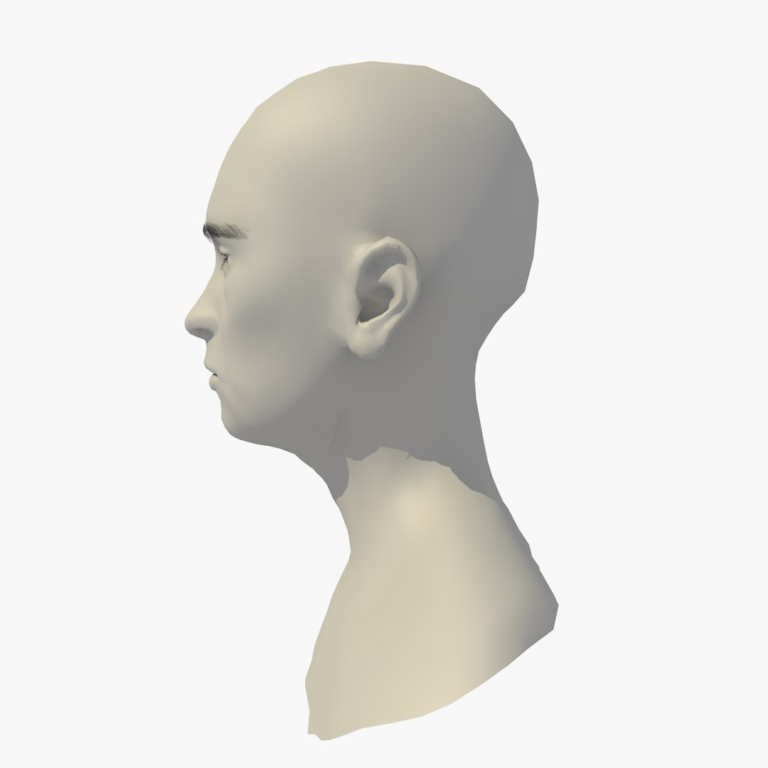 Realistic Head Base Mesh 3D Model - TurboSquid 1439701