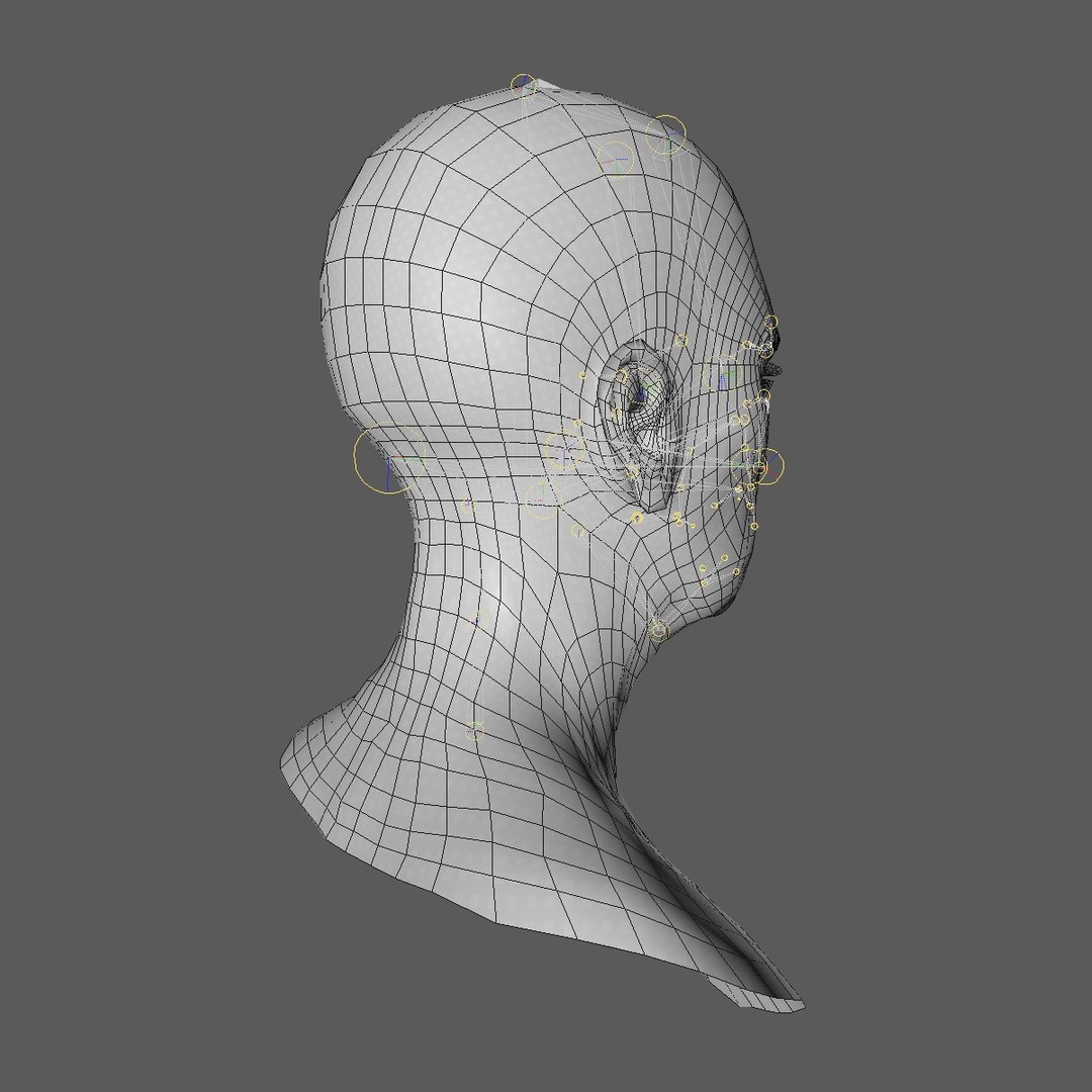 Realistic head base mesh 3D model - TurboSquid 1439701