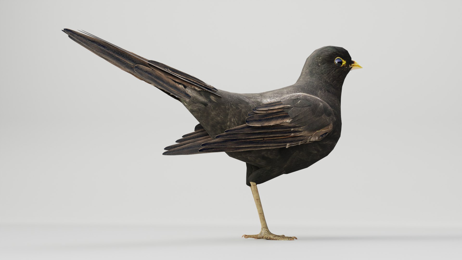 BLACK BIRD RIGGED 3D Model - TurboSquid 2023424