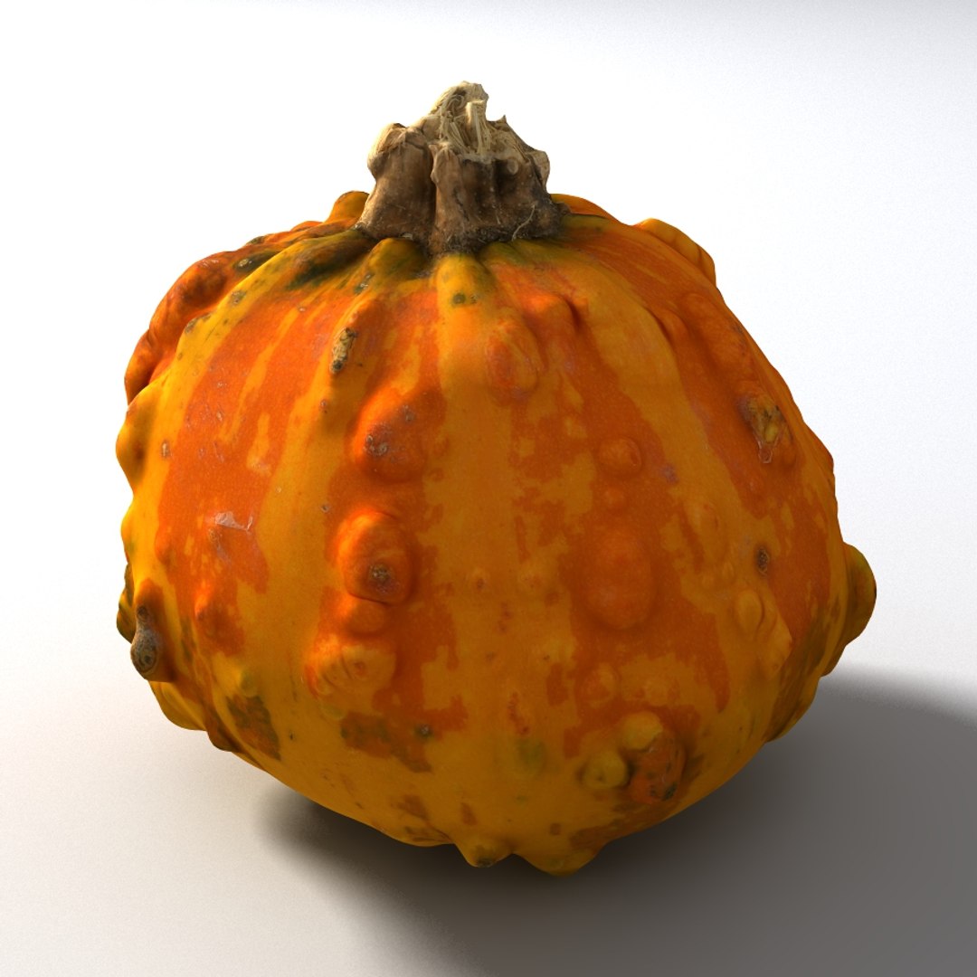 Pumpkin 3D Model - TurboSquid 1251299