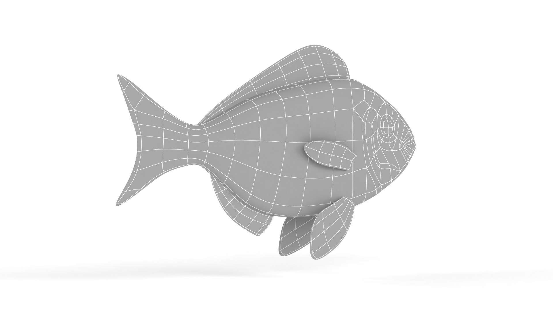 Pinfish 3D Model - TurboSquid 1779667