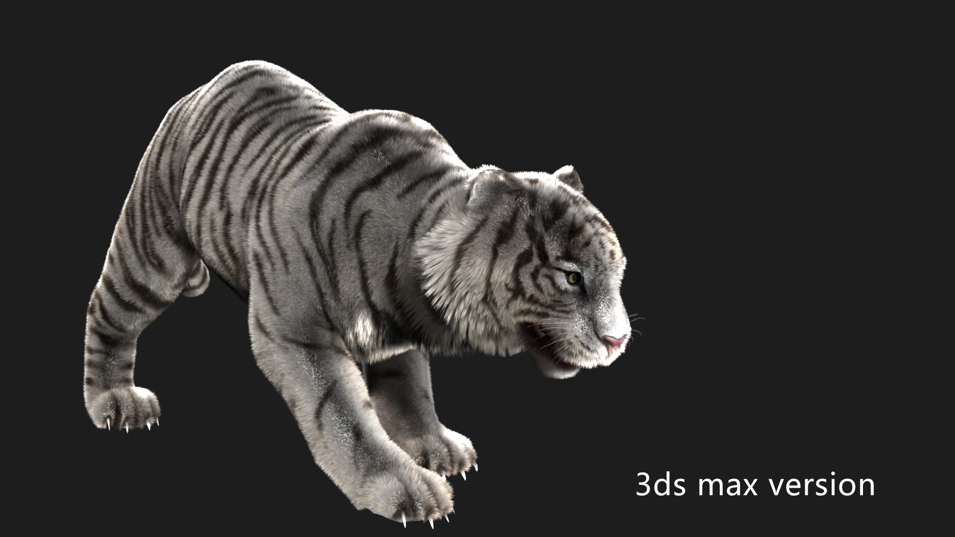 3D Tiger - TurboSquid 2180443