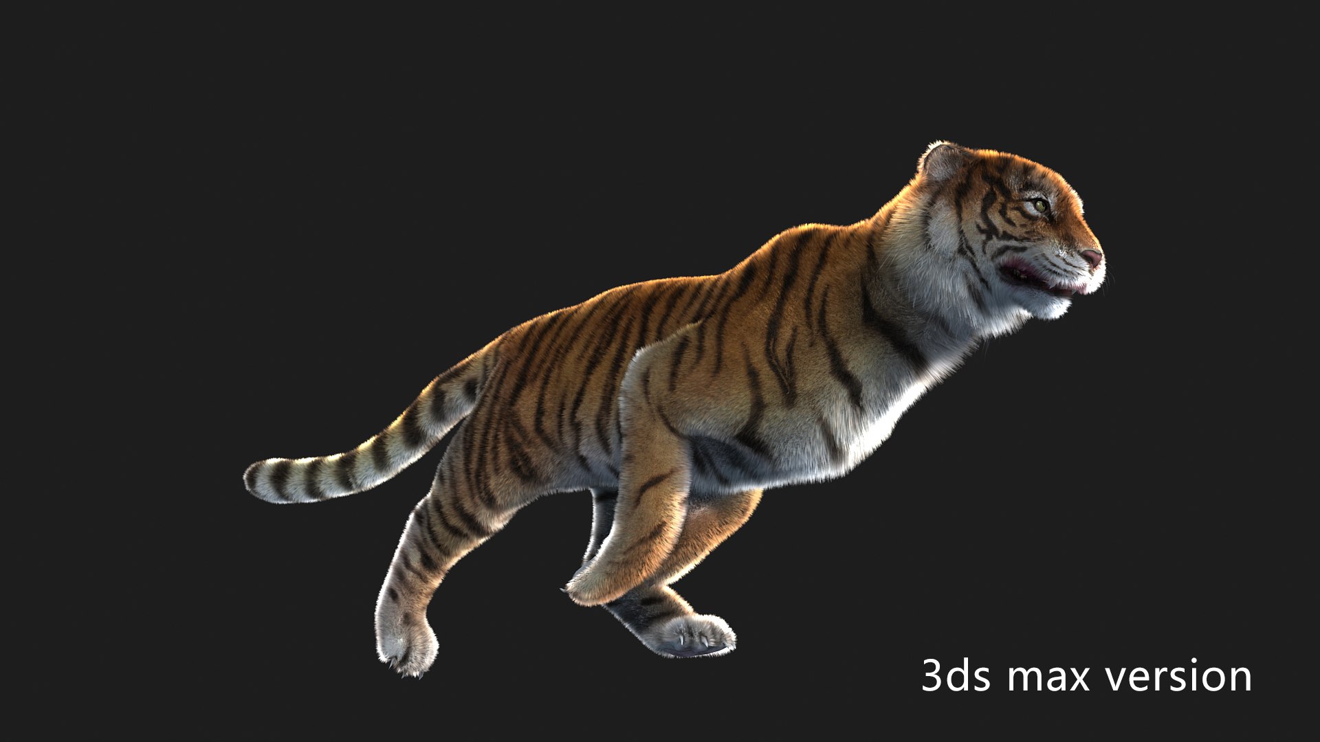 3D Tiger - TurboSquid 2180443