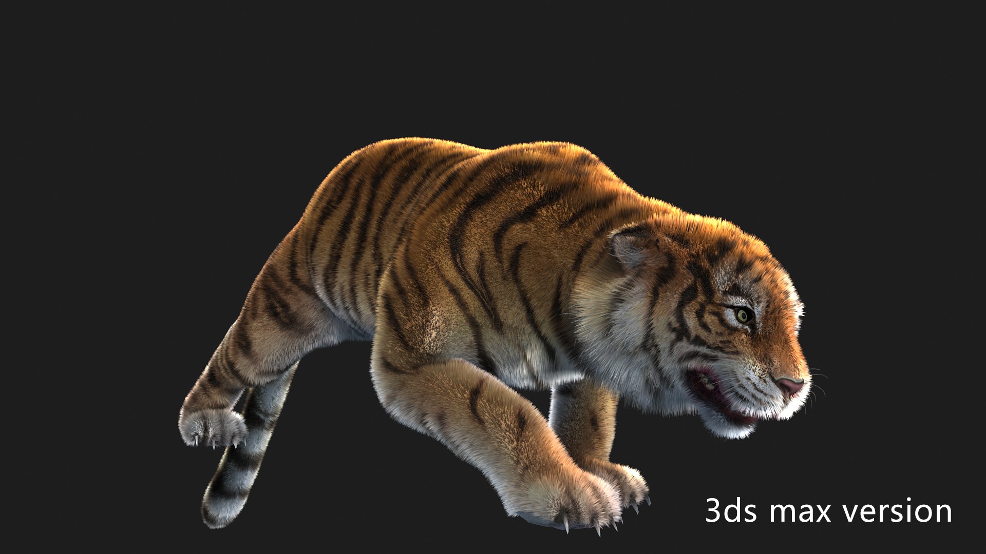3D Tiger - TurboSquid 2180443