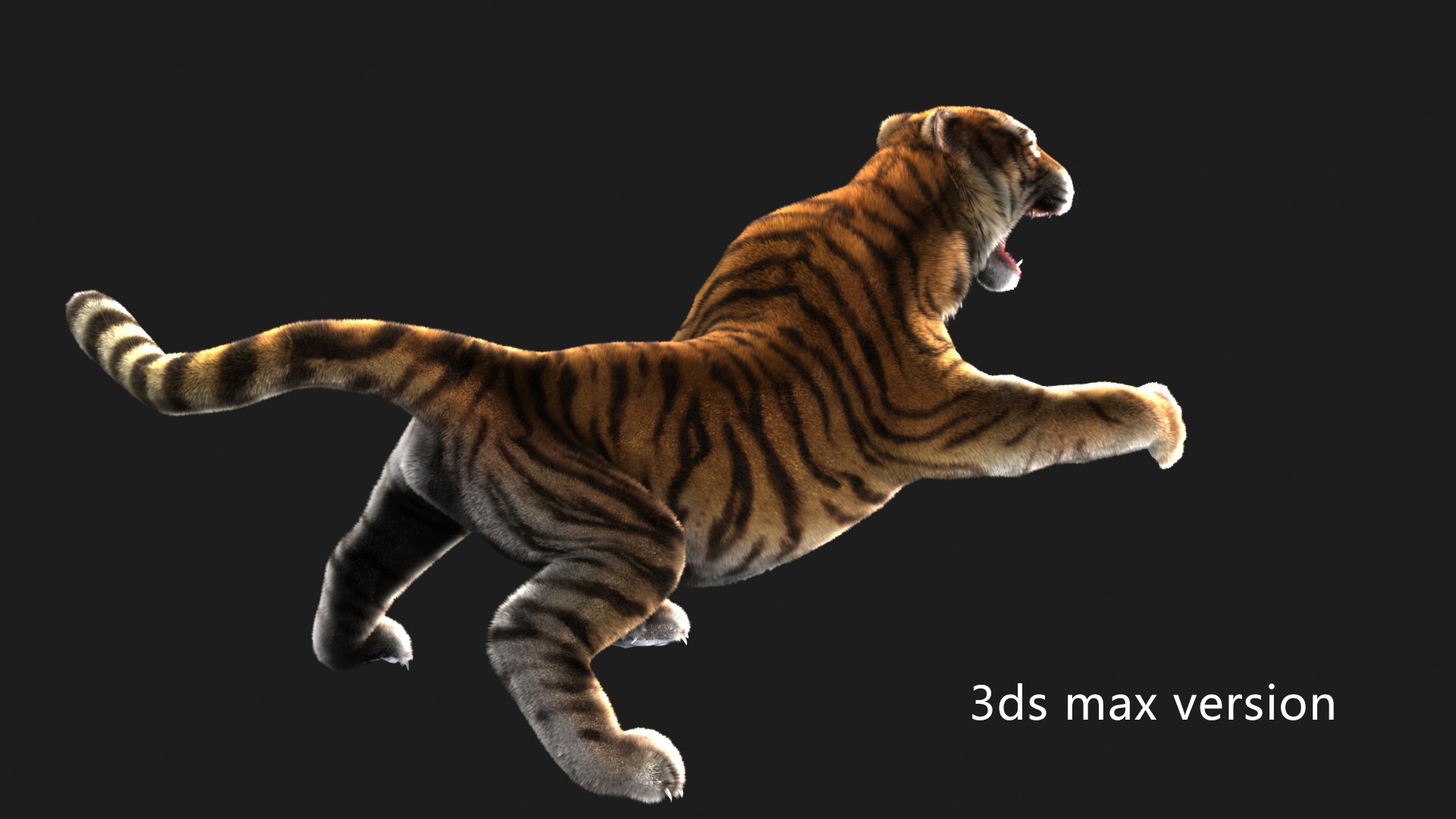 3D Tiger - TurboSquid 2180443