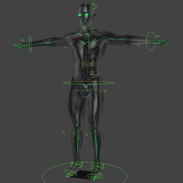 rigged human male body ma