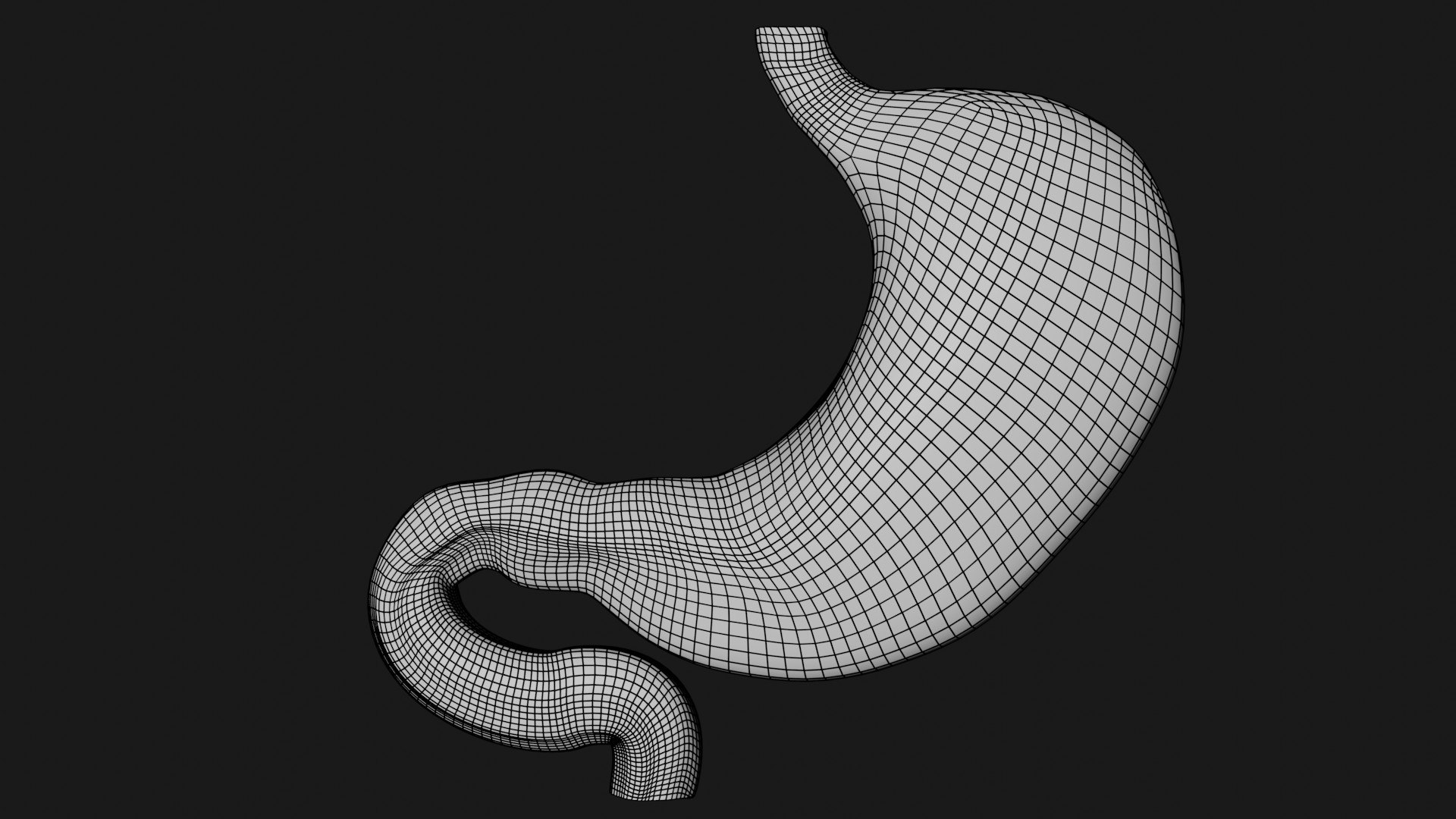 3D Stomach Science Organ Model - TurboSquid 1673985