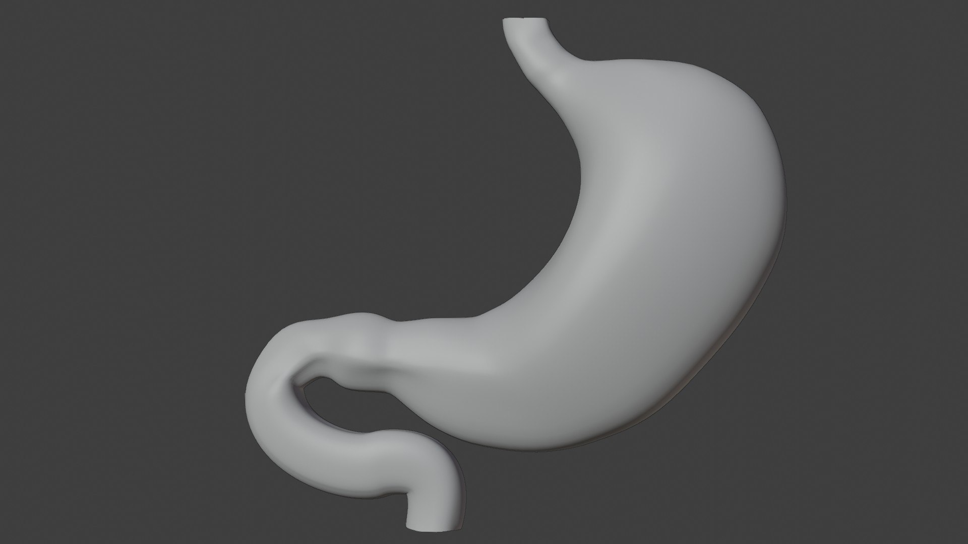 3D Model Stomach Science Organ - TurboSquid 1673978