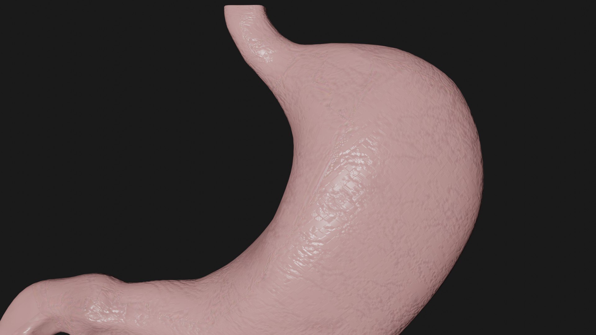3D Model Stomach Science Organ - TurboSquid 1673978