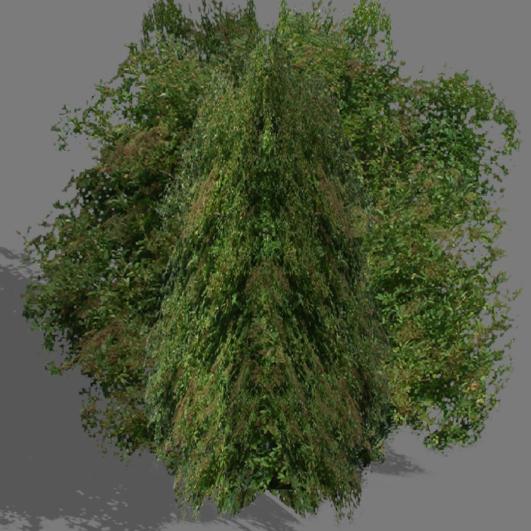 Bushes Polygons 3d 3ds